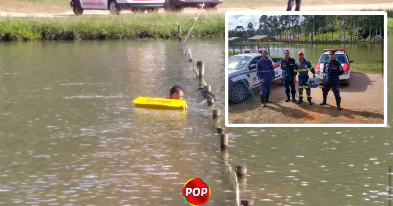 Defesa Civil e Bombeiros GBCV resgatam ave presa em lago. – POP TV