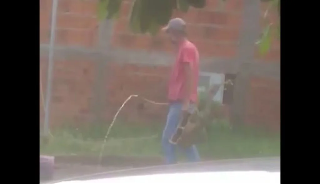 Homem é flagrado ao matar gato afogado, veja o vídeo – POP TV
